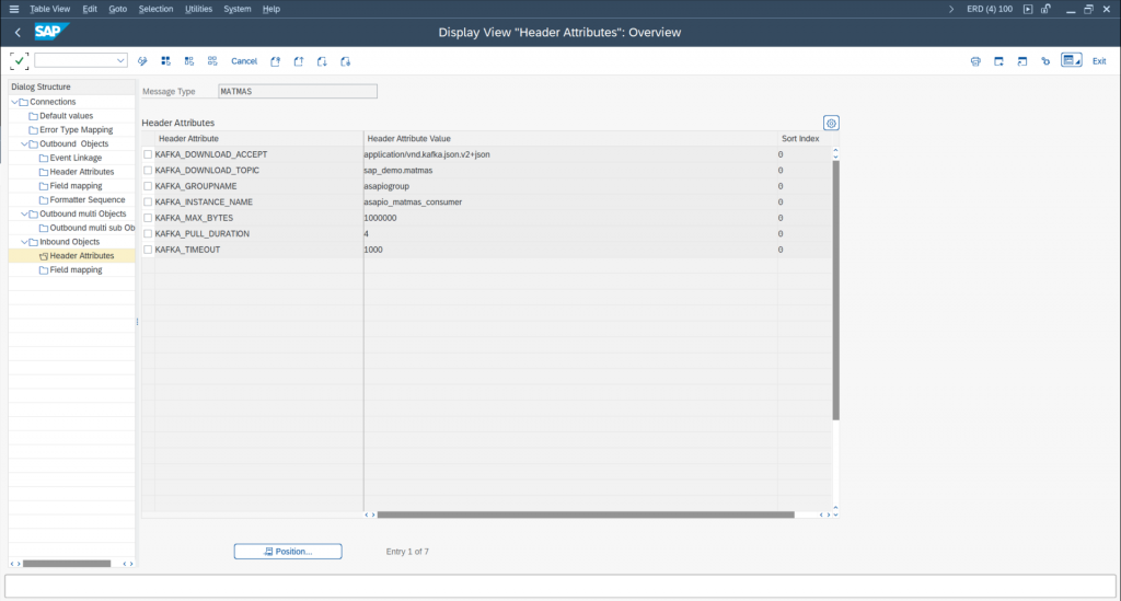 IDoc messaging - ASAPIO